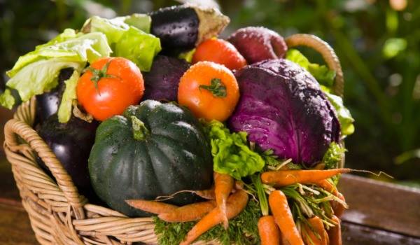 Gallery | Elberta Farms